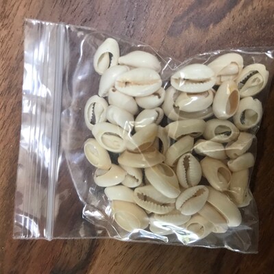 50 Small Cowrie Shell, Natural Sea Shell Money Shell Bead, Cut Back No ...
