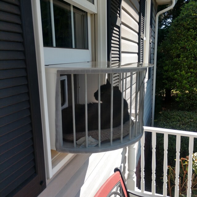 Cat Solarium SunRoom Package: The Ultimate Cat Window Box | Etsy