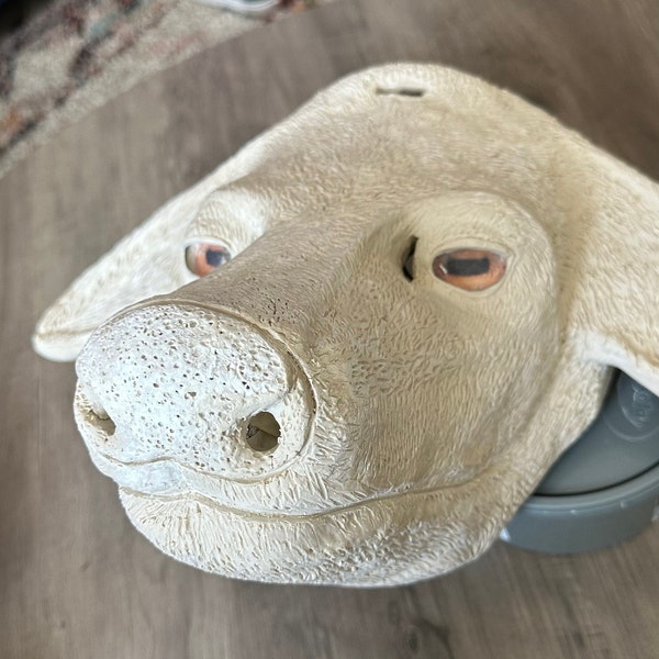 Tiny 3mm Realistic Human Eyes Printout Collage Sheet of Little Eye ...