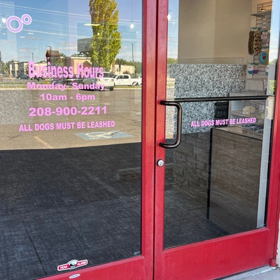 Financial Mistake Jdm Car Decal Bumper Sticker Windshield Banner Window ...