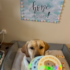 Stickers Assistance Animals Save Lives Personalize I Met an Assistance ...