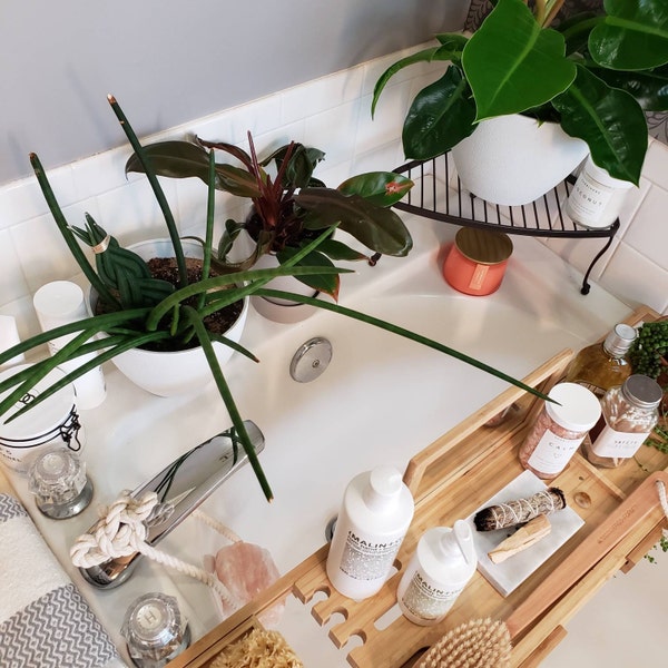 Shower Salt Rock 100% Natural Pink Himalayan Salt Rock Shower Steamer ...