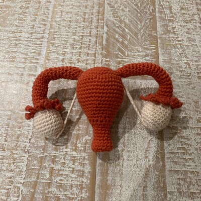 Crochet Pattern UTERUS With Fallopian Tubes & Ovaries Womb Model Doula ...