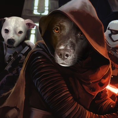 Custom Kylo Ren Pet Portrait . Star Wars Pet Portrait . Custom Pet ...