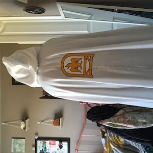 KDA All Out Akali Tiger Helmet HTV Face Mask made to Order - Etsy