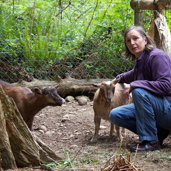 Set of 6 Gamer Stickers Gaming Sticker Pack 3 Die Cut Video Game ...