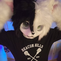 Fursuit Wing Customization Furry Wings - Etsy Canada