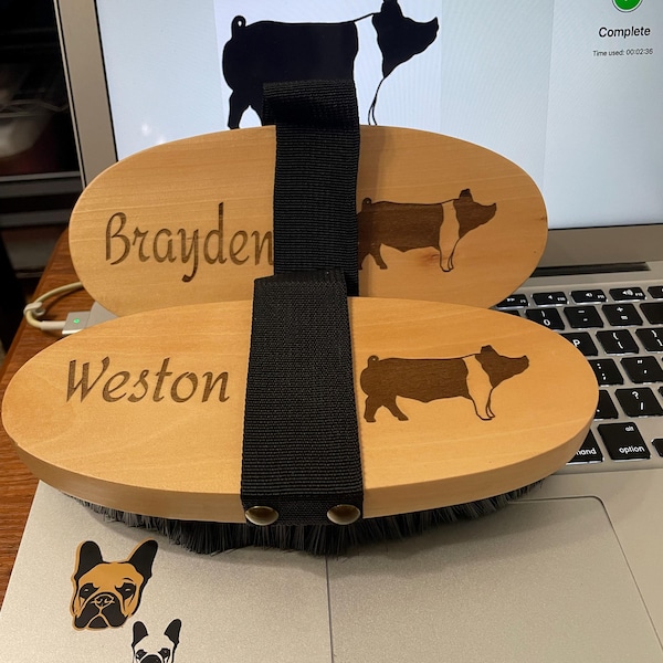 Show Steer Svg, Show Steer Silhouette, Show Steer Cut File, Livestock ...