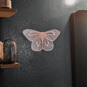 Hand-painted Iridescent Ball Python Snake Wall Decor Boho - Etsy