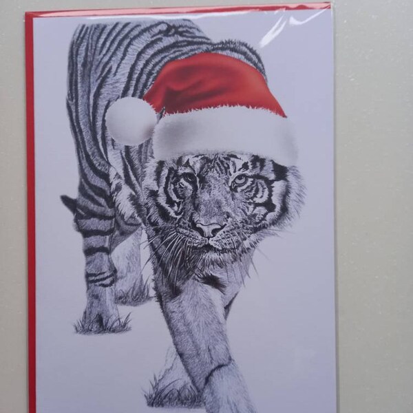 Budgie Budgerigar Bird Chums Art Birthday Hat Greetings/note Card/print ...