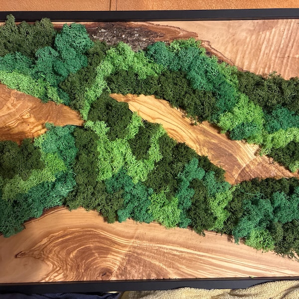 Moss Picture Moss Wall Moss Decoration Moss Panel Wall Panel Wall Art ...