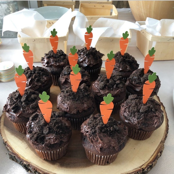 12pc Team Girl Team Boy Cupcake Toppers, Team Pink Team Blue Cupcake ...