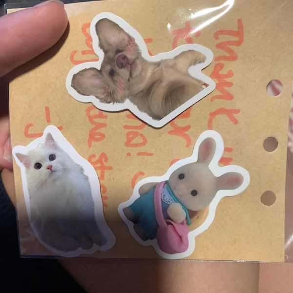 Sticker Sheet Gacha!!!! | Cute Sticker Sheets Bundle | No Repeats ...