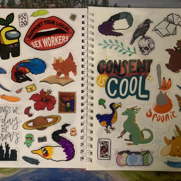 Reusable Sticker Book - 8x6" - 100 Pages - 50 Sheets - Etsy