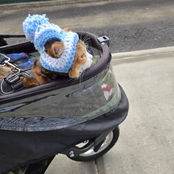 Hat for Cats, Toboggan Cat Hat, Beanie for Cats & Kittens, Cat Stocking ...