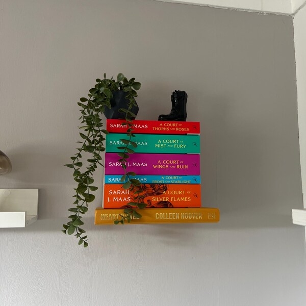 Galleksa Invisible Floating Wall Mounted Metal Bookshelves (plus 1 ...