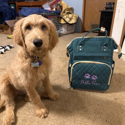Personalized Pet Tote Backpack Pet Bag Personalized Dog - Etsy