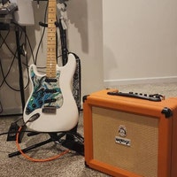 Custom Picks TORTEX White Standard Shape Double Sided - Etsy