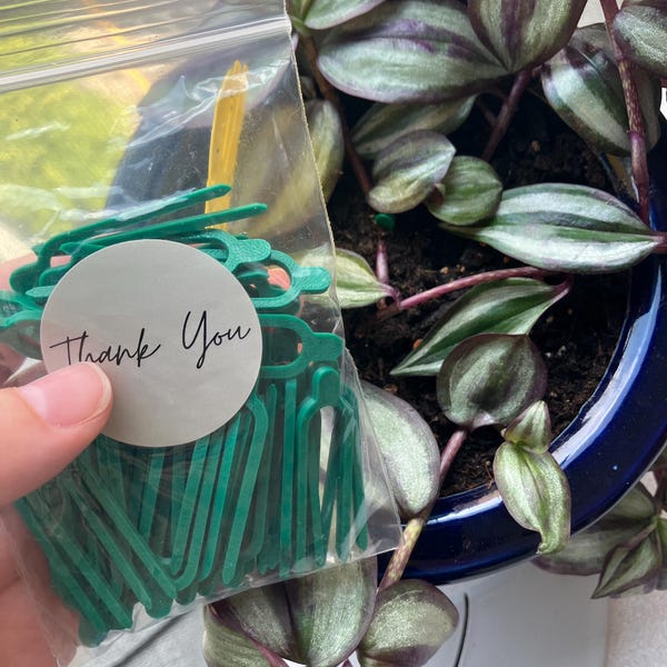 Plant Propagation Pins for Cuttings, Gardening Plant Clips, Strawberry ...