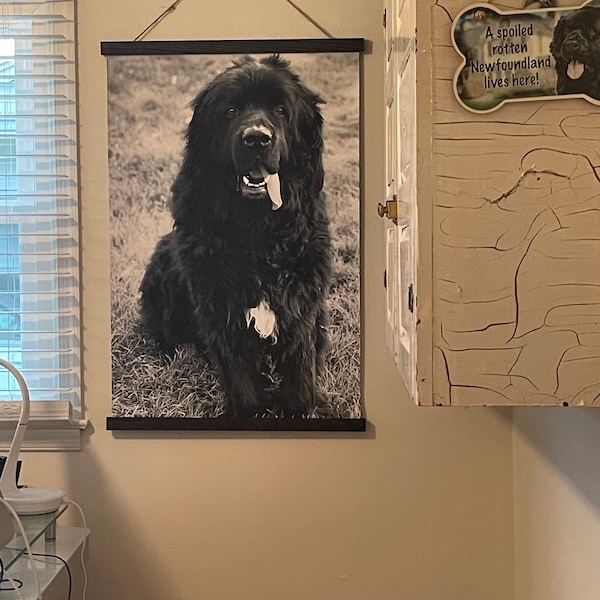 Custom Size Canvas Wall Hanging - Cover Electrical Panel / Breaker Box ...