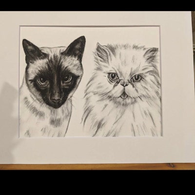 Bijon Art Bijon Drawing ORIGINAL Drawing Bijon Sketch Dog - Etsy