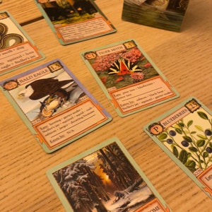 Ecologies Card Game Gameplay Inspired by Nature Use | Etsy