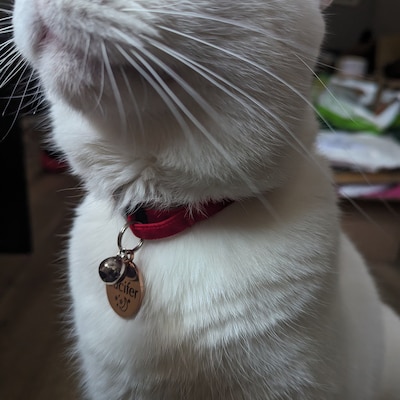 PAC-MAN Retro Cat Collar. Cat or Kitten Safety Collars With Quick ...