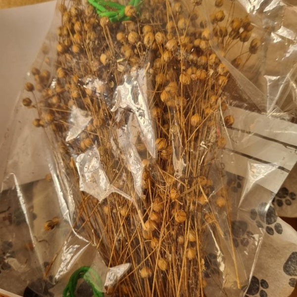 Flax Spray, Dried Flax Stems, Hamster Flax, Bird Flax, UK Farmer ...