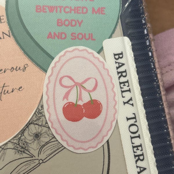 Eras Tour Inspired Bookmarks, Bow Bookmarks, Booktok, Taylor Swift ...