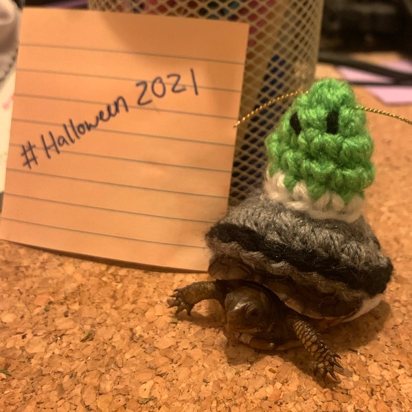 Alien in Spaceship Costume for Turtle/tortoises - Etsy