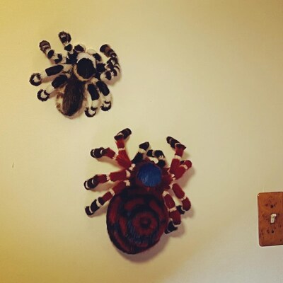 Madam Octa Spider Plush Art Doll Creature Poseable Art Toy - Etsy