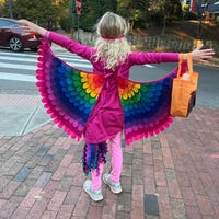 Partridge Costume, Bird Costume, Partridge in a Pear Tree, Wings and ...