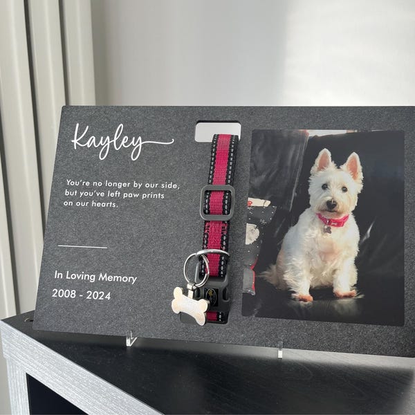 Custom Pet Memorial Urn With Personalized Photo Frame Elegant Tribute ...