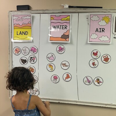 Food Groups, Healthy Eating, Nutrition Activity, Which Food Doesn't ...