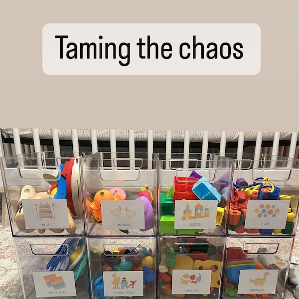 Toy Bin Storage Labels Playroom Organization Toy Trofast Kids Visual ...