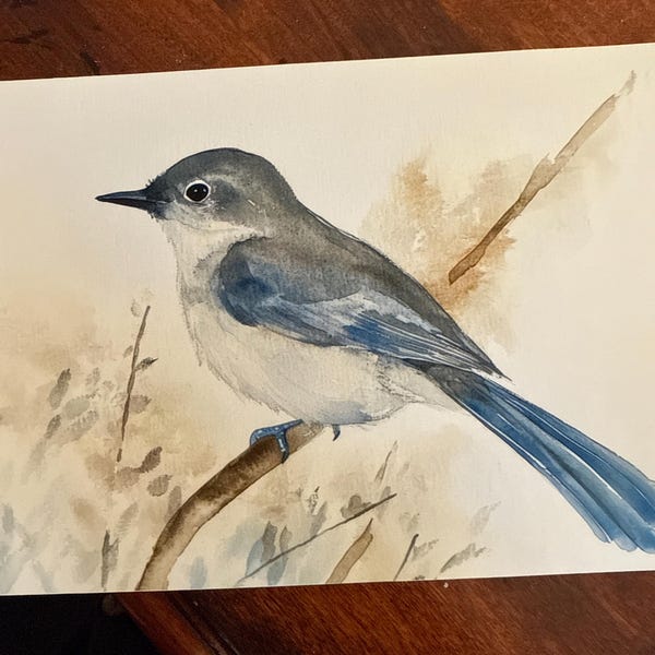 Catbird Painting Grey Catbird Watercolor Art Print Bird on Branch Art ...