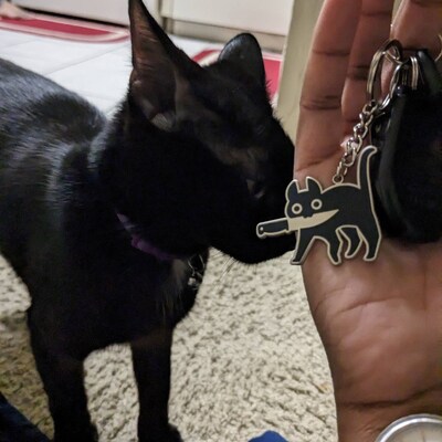 Knifecat Metal Keychain - Etsy