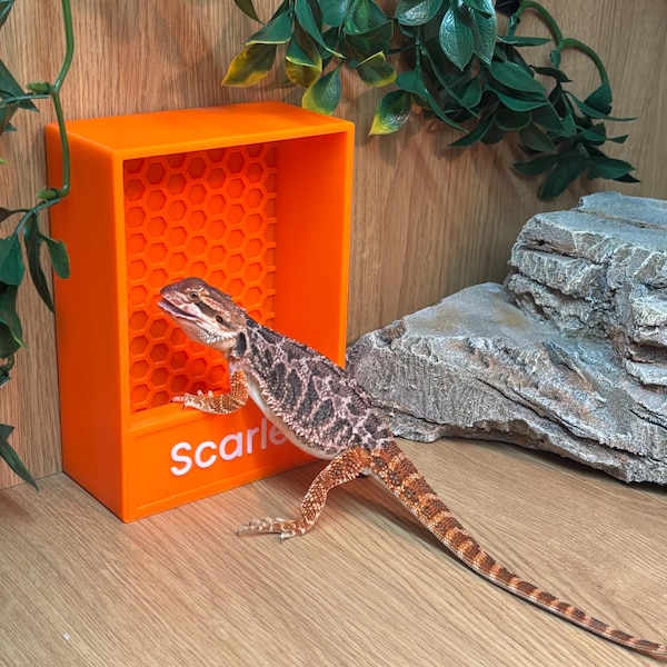 Personalised Reptile Insect Feeder, Chameleon Feeding Box, Gift for ...