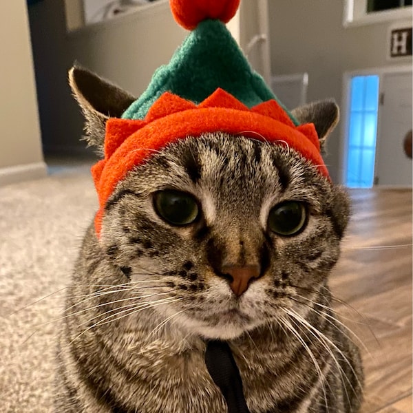 Elf Cat Hat. Christmas Cap for Cats and Kittens. Pet Photo Prop ...