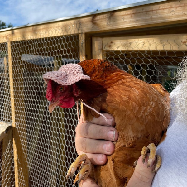 Crochet Pattern, Bonnet for Chickens, Sunday Bonnet, Little Red Hen Hat ...
