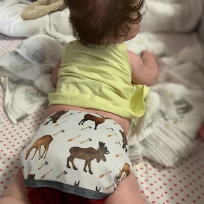 In a Lake Evolutive Cloth Diapers for Babies - Etsy