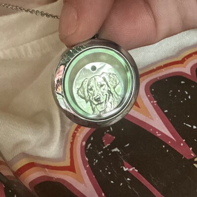 Custom Pet Fur Necklace Pet Fur Locket Necklace Dog Hair Memorial ...