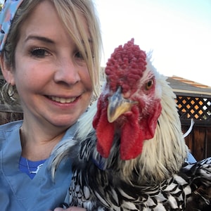 TURKEY SADDLE Adjustable Stag Protector Turkey Apron | Etsy