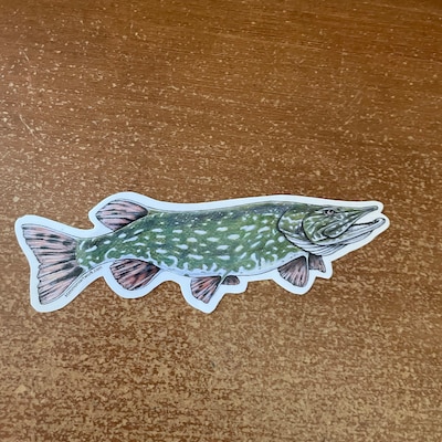 Sticker, Decal, Fish, Pike, Northern, Vinyl, Water Resistant, Fish ...