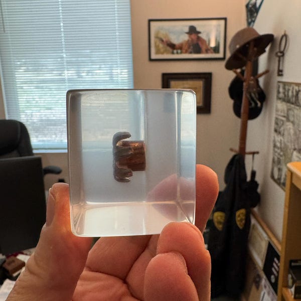 Ultimate Hunter Memento Display Piece - Forever Embed the Casing ...