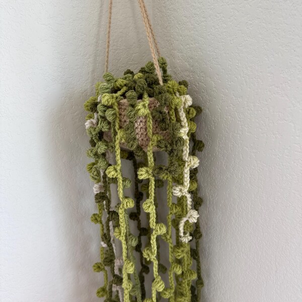 Crochet Hanging Burro's Tail Plant Pattern: Succulent PDF (digital ...