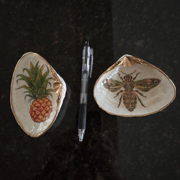 College of Cardinals Part 1 - Gilded and Decoupaged Natural Sea Shells ...