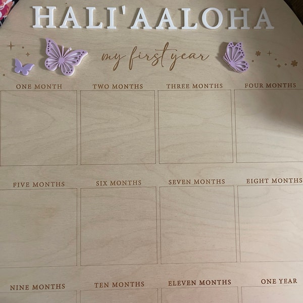 First Year Birthday Board |one Year of | My First Year | 12 Months ...