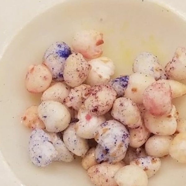Mini Cod Chips - Hermit Crab Food - Etsy