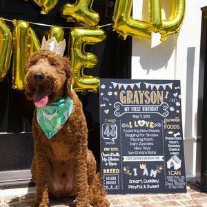 Editable Dog Birthday Chalkboard Sign - Instant Download Template ...
